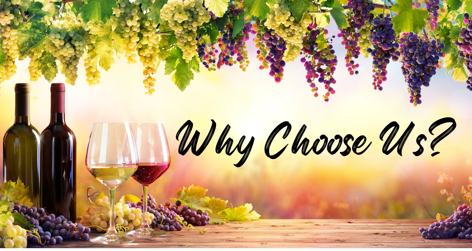 About us – Grape Expectations